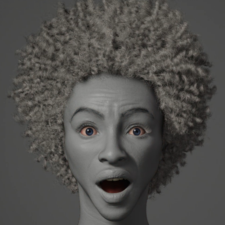 Realistic Digital Human